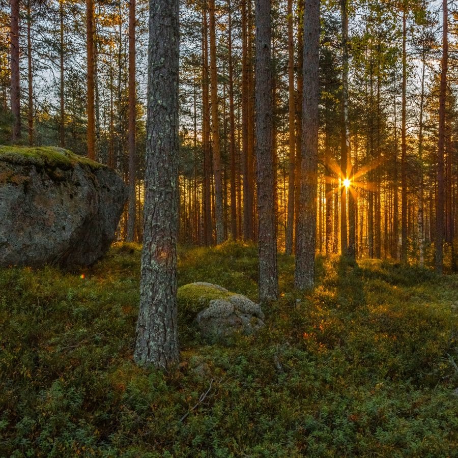 Visit Kangasala, city of culture near Tampere - Etusivu