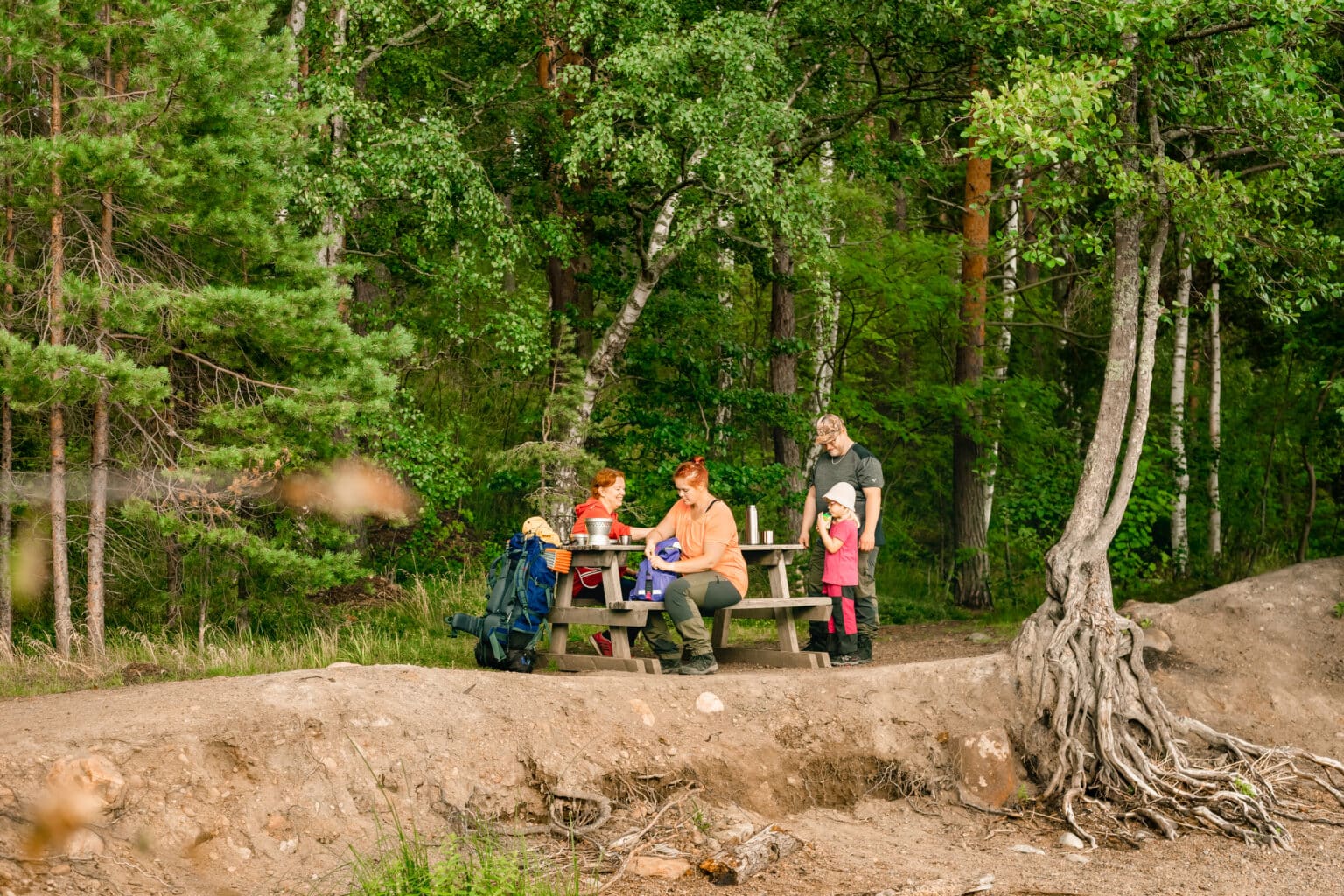 Laavut ja nuotiopaikat - Visit Kangasala